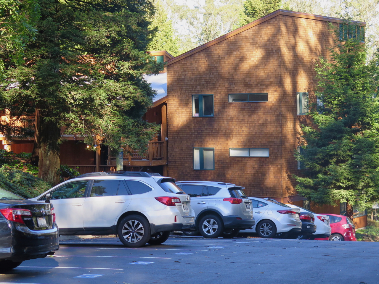 Aldea Safety Improvements | Campus Life Services